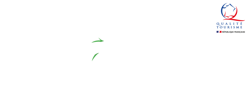 Bokay - Caribbean Elixir